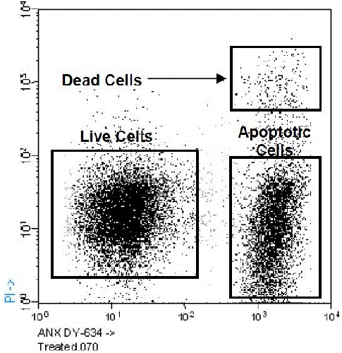 Annexin V- DY-634 PI Apoptosis Staining / Detection Kit (ab214484) | Abcam