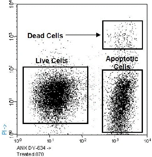 Annexin V- DY-634 PI Apoptosis Staining / Detection Kit (ab214484 ...