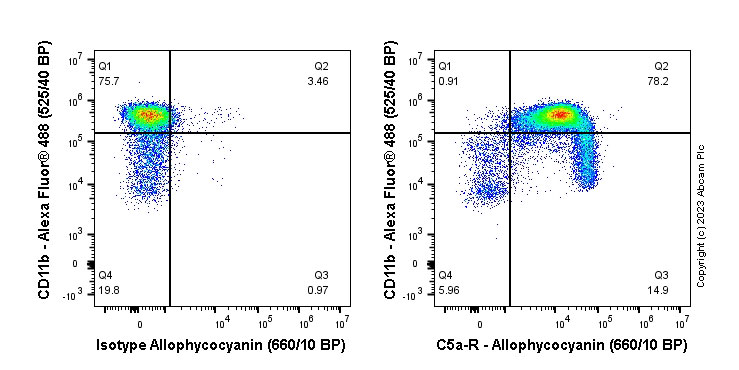 APC Anti-C5a-R antibody [EPR23278-117] (ab314955) | Abcam