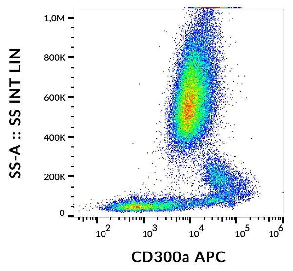 Anti-CD300a APC antibody [MEM-260] (ab243084) Mouse monoclonal IgG1 | Abcam