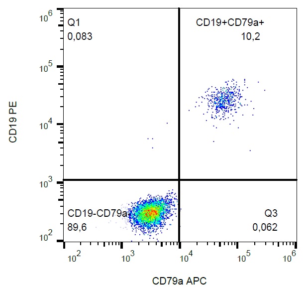 Anti-CD79a - C-terminal APC antibody [HM47] (ab188420) IgG1 | Abcam