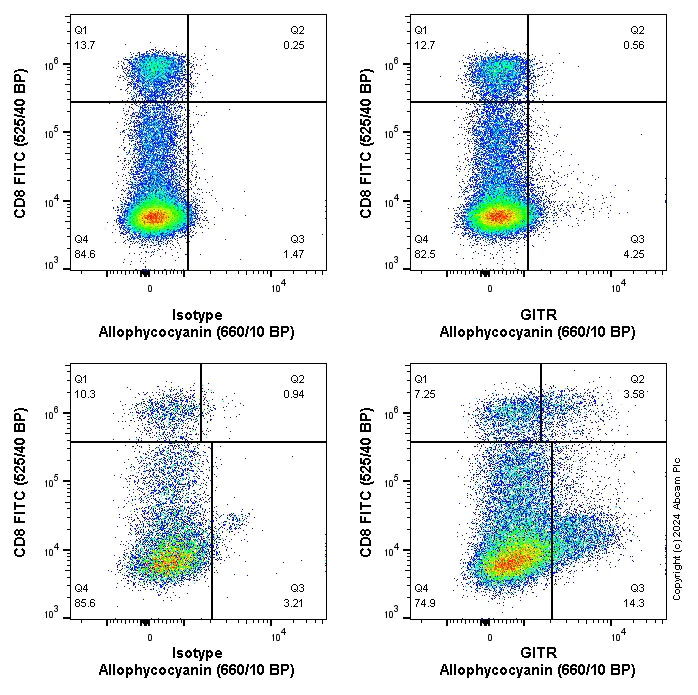 APC Anti-GITR antibody [CAL8] (ab317073) | Abcam