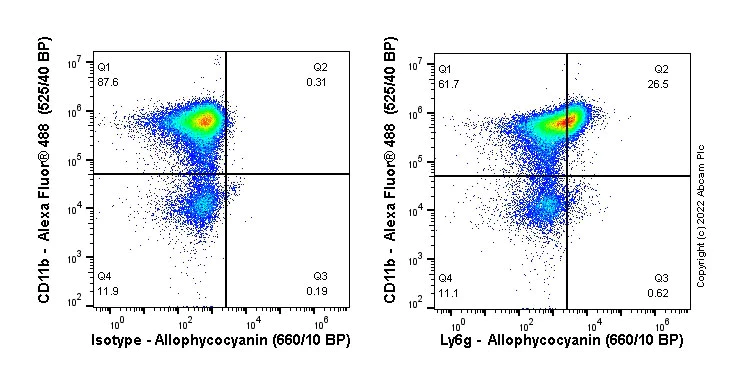 Anti-Ly6g APC antibody [EPR22909-135] (ab303606) IgG | Abcam