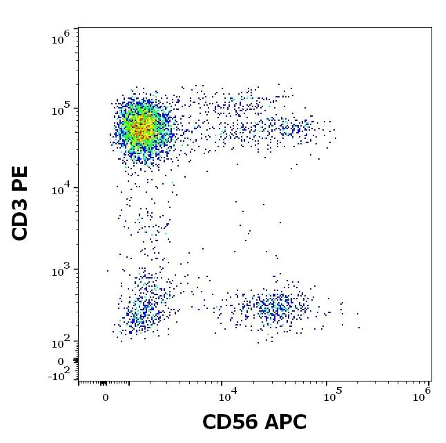 Anti-NCAM1 APC antibody [MEM-188] (ab28335) Mouse monoclonal IgG2a | Abcam