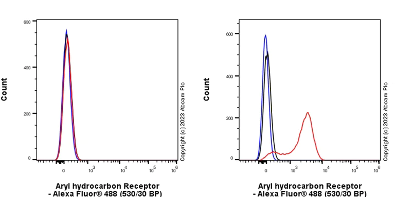 Anti-Aryl hydrocarbon Receptor antibody [EPR27537-70] - BSA and Azide ...