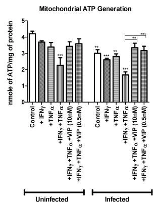 ATP Assay Kit (Colorimetric/Fluorometric) (ab83355/K354) | Abcam