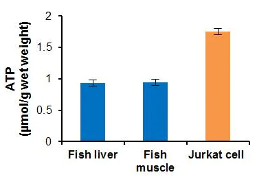 ATP Assay Kit (Colorimetric/Fluorometric) (ab83355/K354) | Abcam