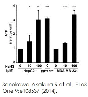ATP Assay Kit (Colorimetric/Fluorometric) (ab83355/K354) | Abcam