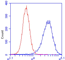 ATP5A抗体[7H10BD4F9] - Mitochondrial Marker (ab110273)| Abcam中文官网