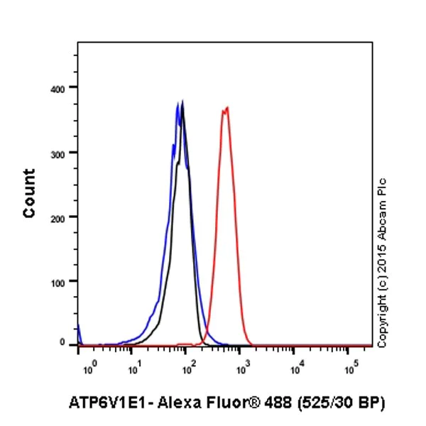 ATP6V1E1抗体[EPR19602] (ab201468)| Abcam中文官网