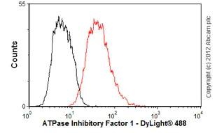 ATPase Inhibitory Factor 1/IF1抗体[5E2D7] (ab110277)| Abcam中文官网