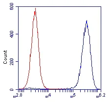 Anti-ATPB antibody [3D5] - Mitochondrial Marker (ab14730) | Abcam