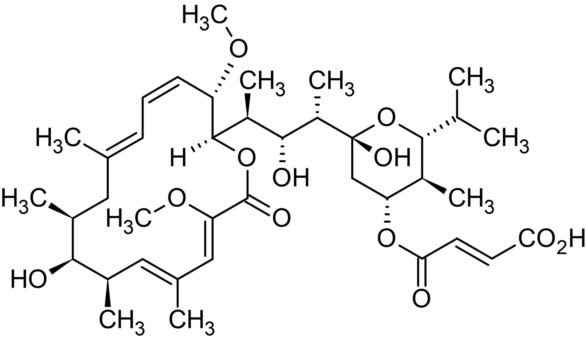 Bafilomycin C1, Vacuolar-type H+-ATPase inhibitor. (CAS 88979-61-7) (ab144203) | Abcam