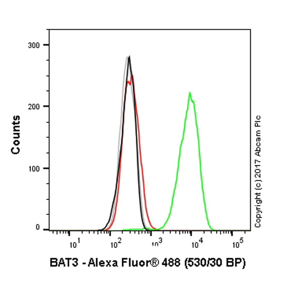 Anti-BAT3/BAG-6 抗体 [EPR9223] (ab137076) | Abcam