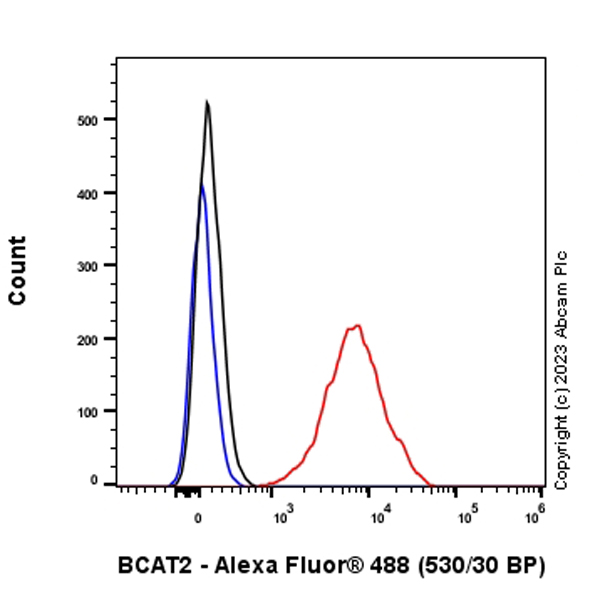 Anti-BCAT2 antibody [EPR27488-91] (ab309514) | Abcam