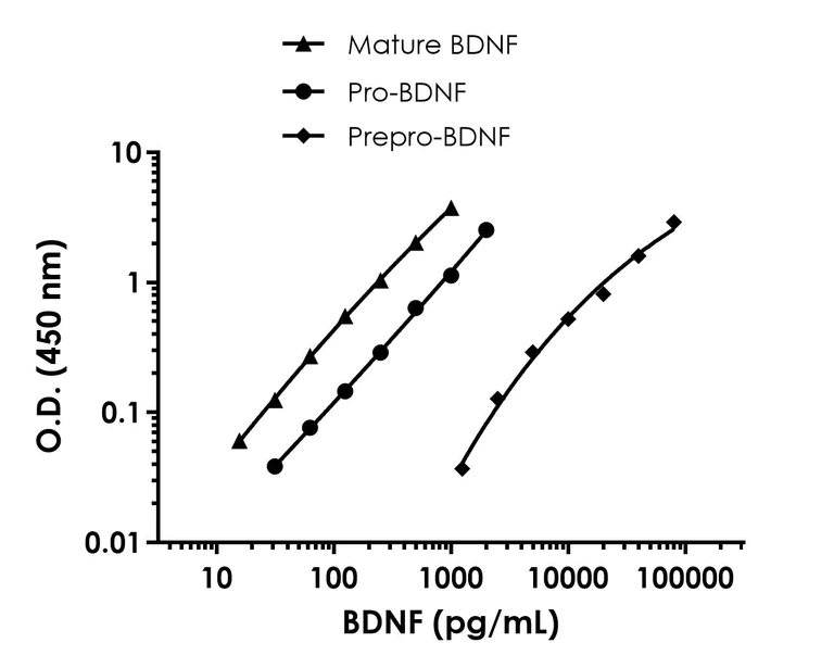 BDNF ELISA Kit - Intracellular (ab324920) | Abcam中文官网