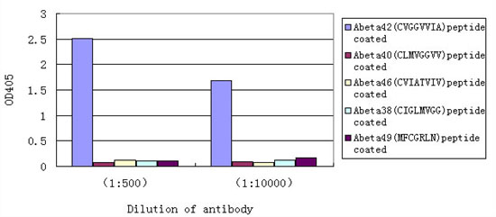 Anti-beta amyloid 1-42 antibody [mOC64] - recombinant (ab201060) | Abcam