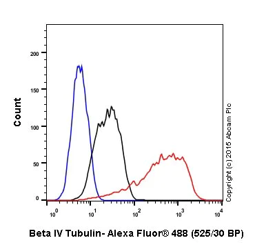 beta IV Tubulin抗体[EPR16776] (ab179509)| Abcam中文官网