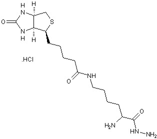 Biocytin hydrazide hydrochloride (CAS 102743-85-1) (ab275214) | Abcam