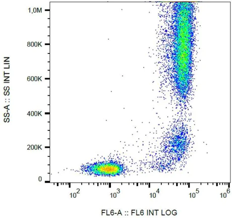 Biotin Anti-CD13 antibody [WM15] (ab130430) | Abcam
