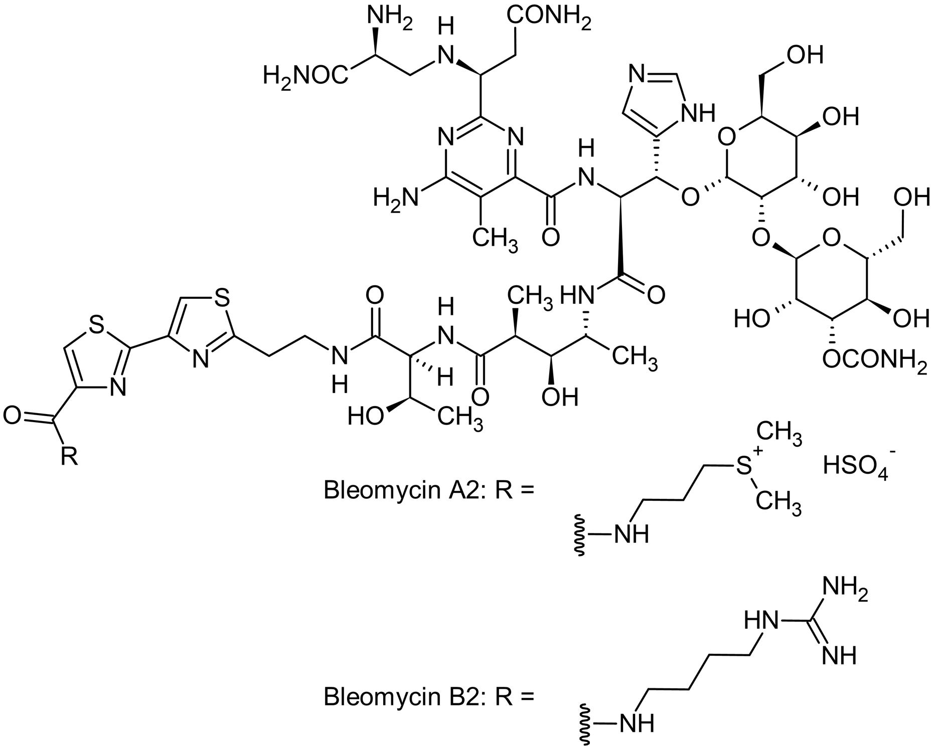 Bleomycin sulfate, anticancer and antibiotic agent (CAS 9041-93-4 ...