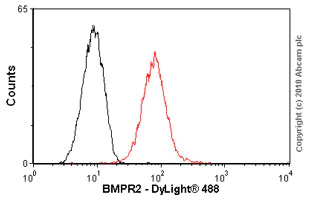 BMPR2抗体[MM0060-9A10] (ab78422)| Abcam中文官网