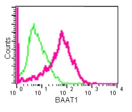 Anti-BRAT1 antibody [EPR13753-43] - BSA and Azide free (ab250537) | Abcam