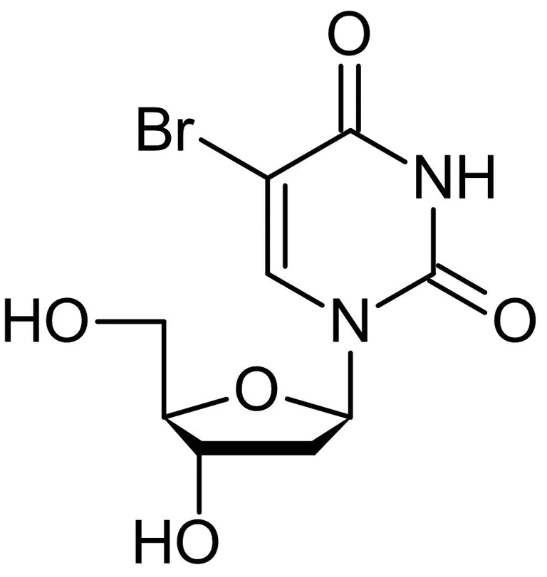 BrdU (5-bromo-2'-deoxyuridine), thymidine analog (CAS 59-14-3 ...