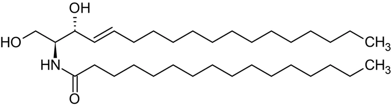 C16 Ceramide (Palmitoyl ceramide), Endogenous ceramide (CAS 24696-26-2 ...
