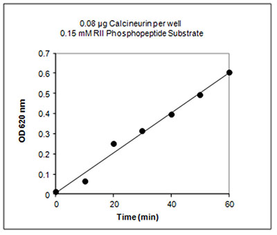Calcineurin Phosphatase Activity Assay Kit (Colorimetric) (ab139461 ...