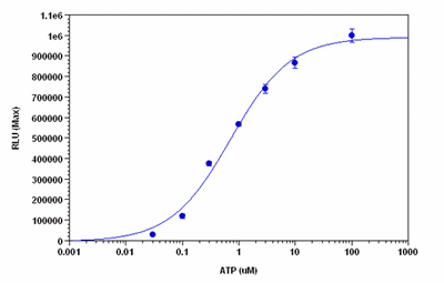 Fluo-8 Calcium Assay Kit - Medium Removal (ab112128) | Abcam