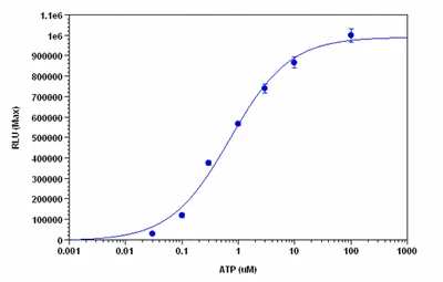 Calcium Assay Kit (Luminometric) (ab112114) | Abcam