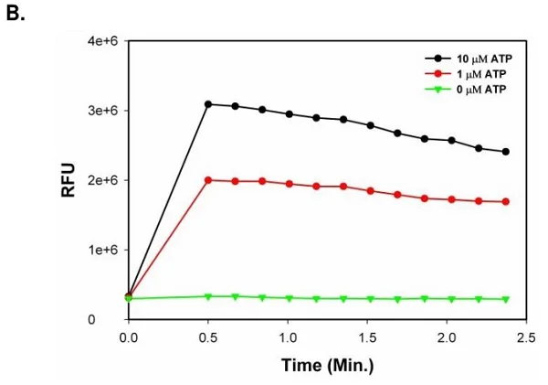 Calcium Flux检测试剂盒 (Flow cytometry) (ab233472)| Abcam中文官网