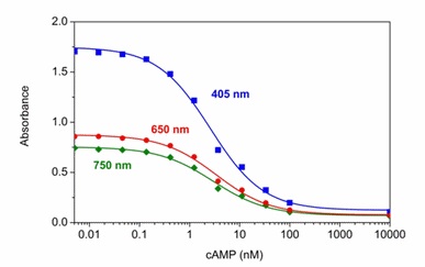 cAMP Assay Kit (Competitive ELISA) (ab234585) | Abcam