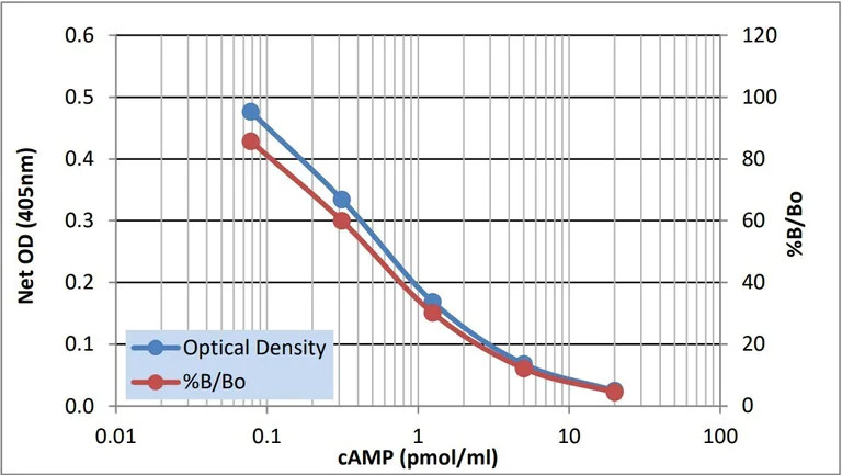 cAMP Assay Kit (Competitive ELISA) (ab290713) | Abcam