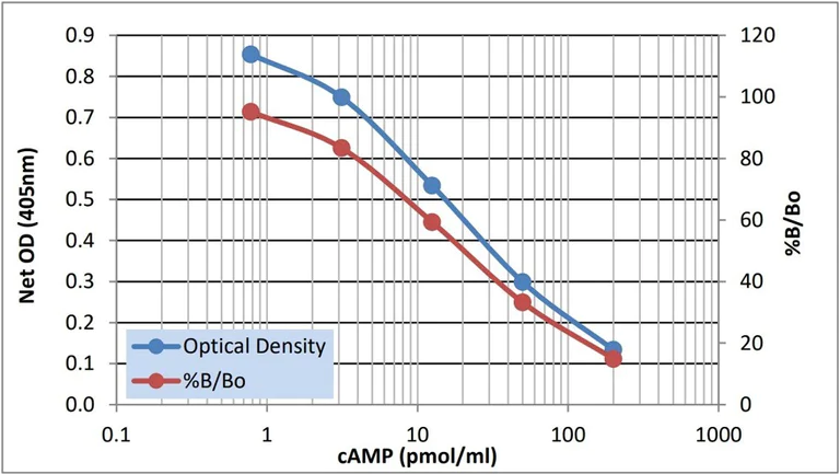 cAMP Assay Kit (Competitive ELISA) (ab290713) | Abcam