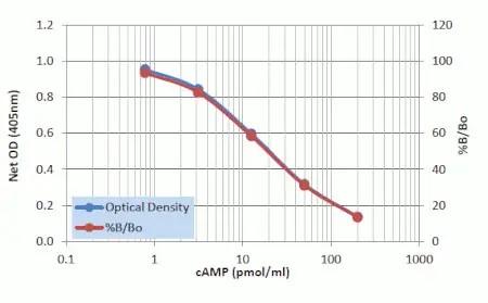 cAMP Assay Kit (Competitive ELISA) (ab290713) | Abcam