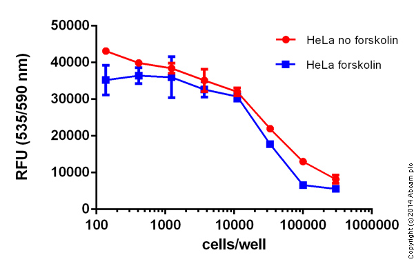 cAMP Assay Kit (Competitive ELISA, Fluorometric) (ab138880) | Abcam