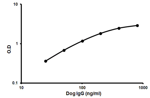 Canine IgG ELISA Kit (ab157701) | Abcam