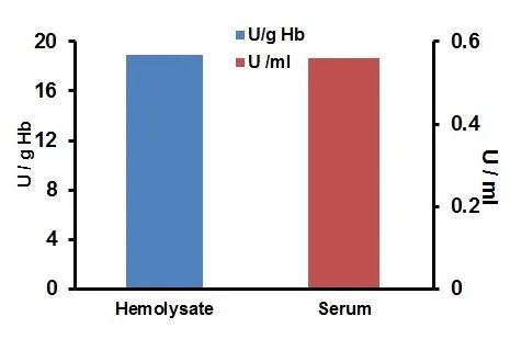 Carbonic Anhydrase (CA) Activity Assay Kit (Colorimetric) | Abcam