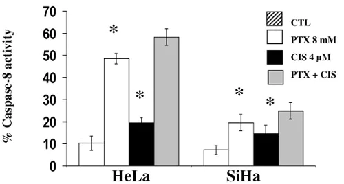 Caspase-8 (active) FITC Staining Kit (ab65614) | Abcam