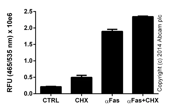 Caspase-8 (active) FITC Staining Kit (ab65614) | Abcam