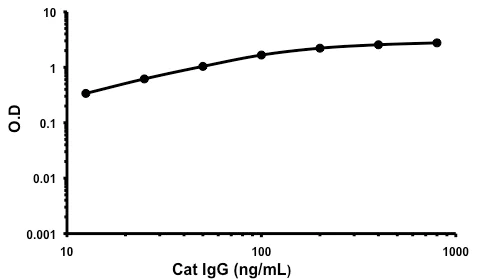 Cat IgG ELISA Kit (ab190523) | Abcam