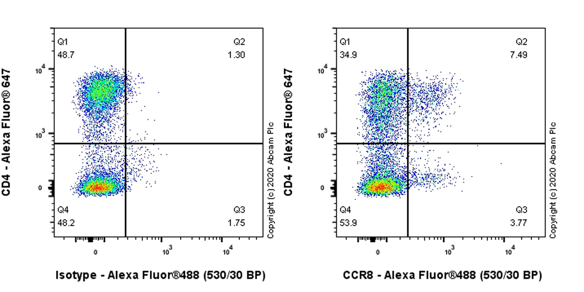 Anti-CCR8 antibody [EPR23744-160] (ab259792) | Abcam
