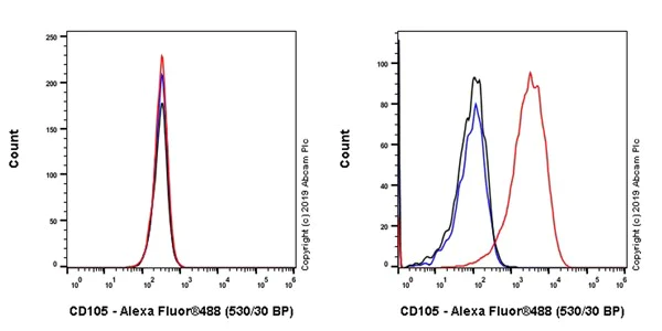 Anti-CD105 antibody [MJ7/18] - BSA and Azide free (ab256143) | Abcam