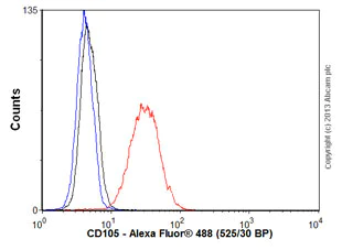 Anti-CD105 antibody [OTI8A1] (ab156756) | Abcam