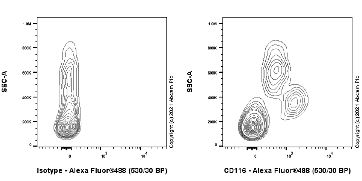Anti-CD116 antibody [EPR24554-26] (ab280951) | Abcam