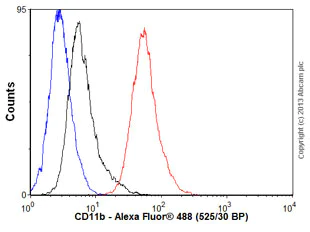 Anti-CD11b 抗体 (ab128797) | Abcam