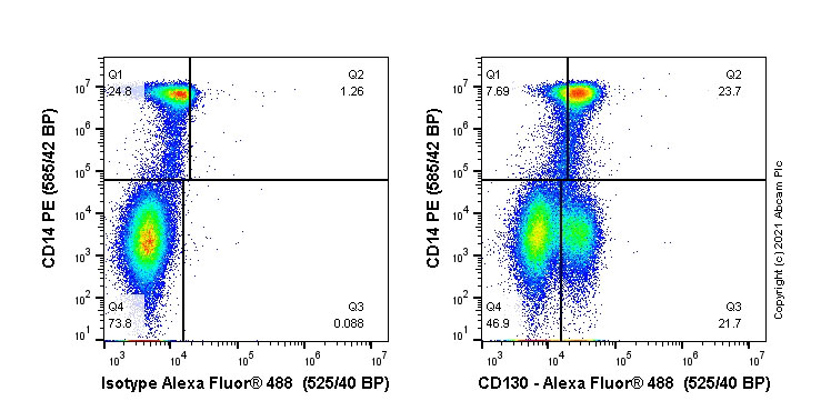 Anti-CD130 (gp130) antibody [EPR24557-5] (ab283569) | Abcam
