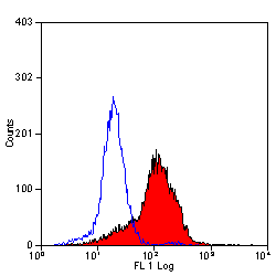 Anti-CD147 antibody [OX114] (ab34016) | Abcam